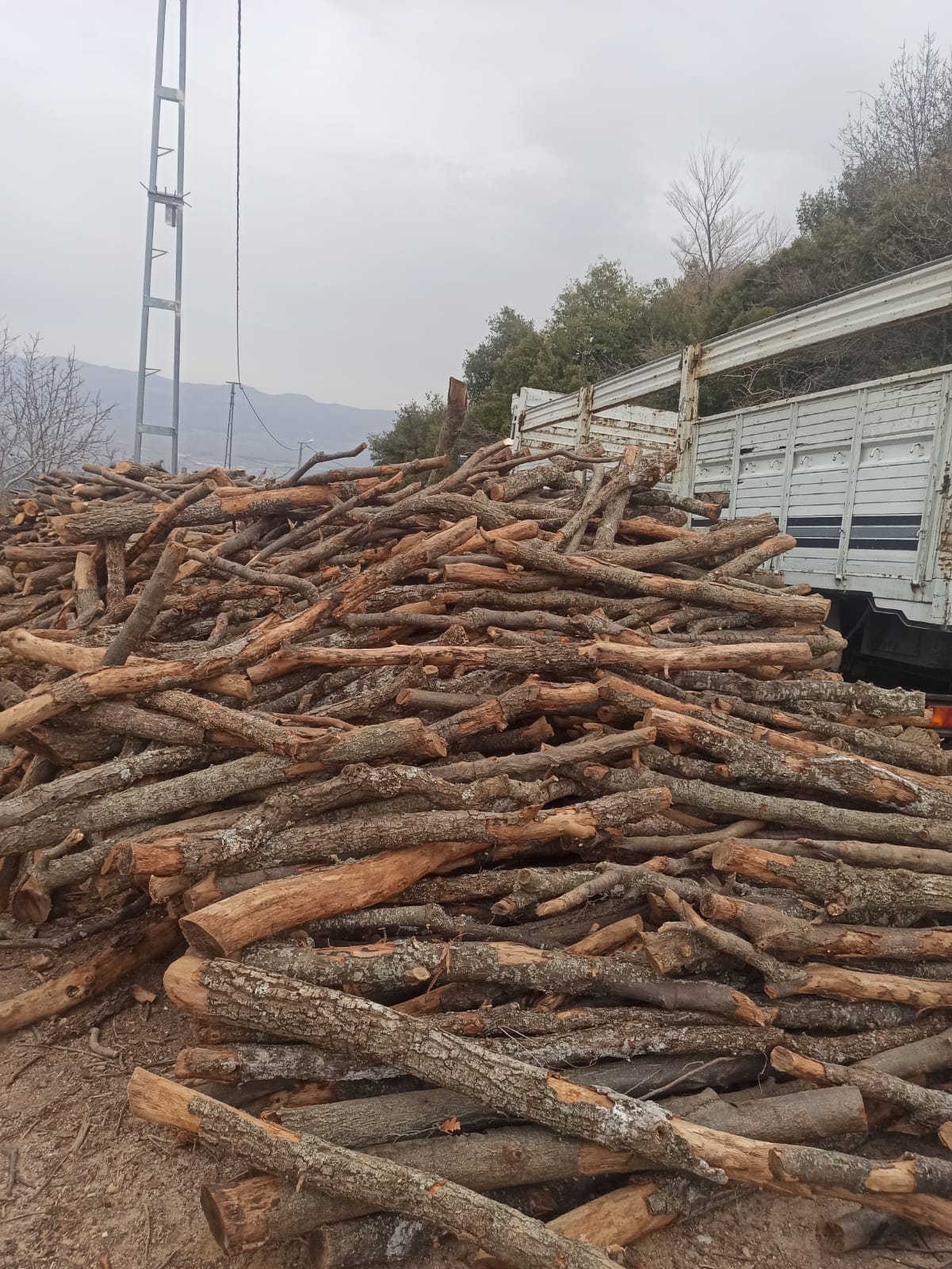 Ürün – Kayalar Odun – Kömür